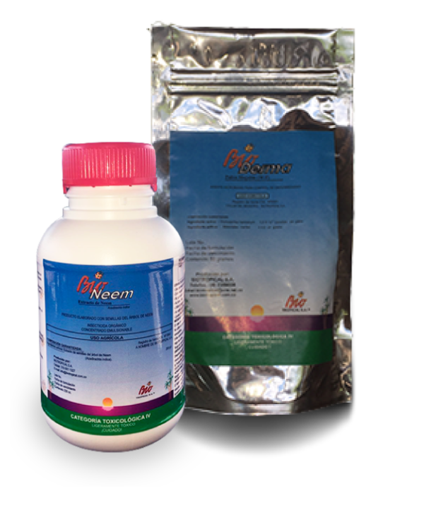 Home - Ideas Biológicas